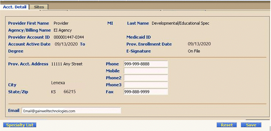 How Do I Enter or Update Provider Account Detail Information